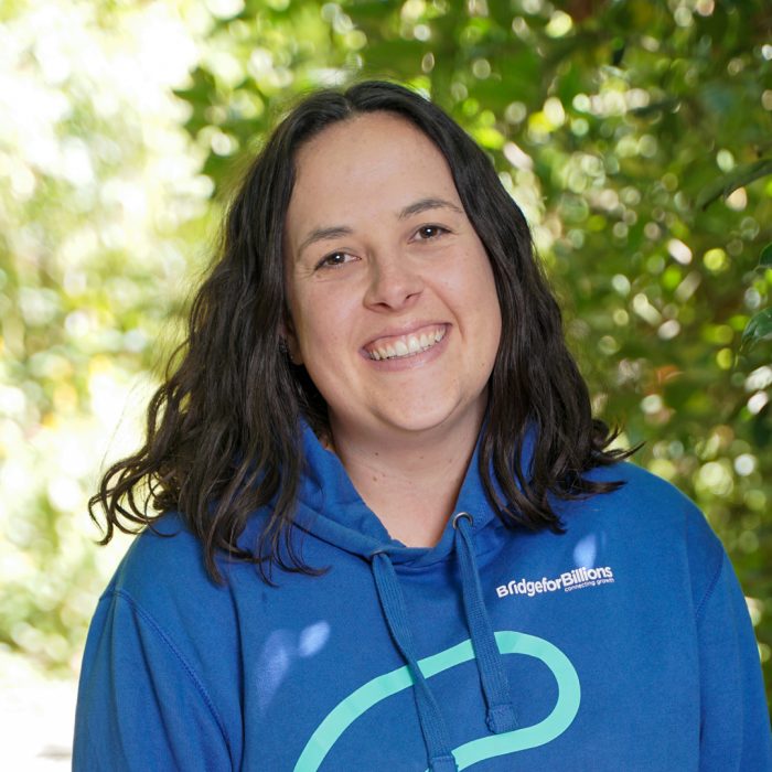 Incubation programs - Bridge for Billions