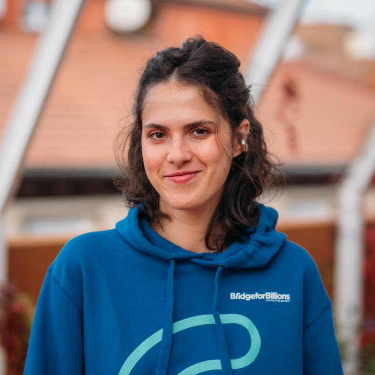 Incubation programs - Bridge for Billions